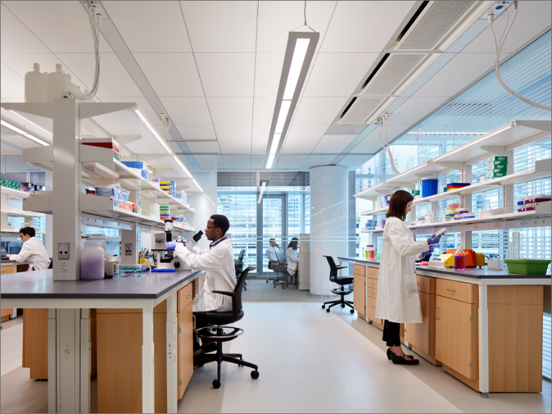 Northwestern University BioMed Lab - Siteline Interior Carpentry