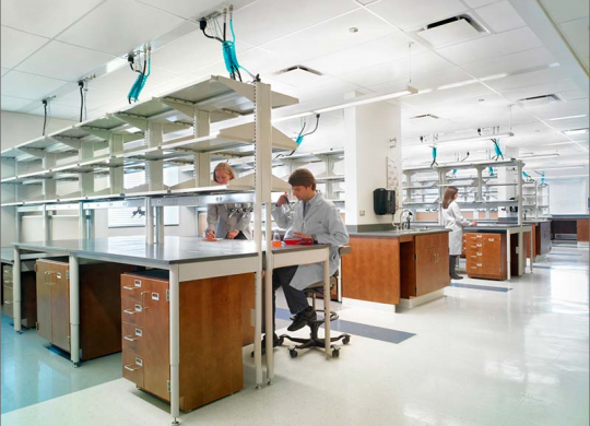 Northwestern University BioMed Lab - Siteline Interior Carpentry