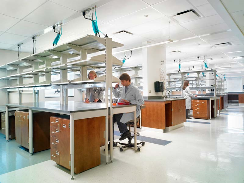 Northwestern University BioMed Lab - Siteline Interior Carpentry
